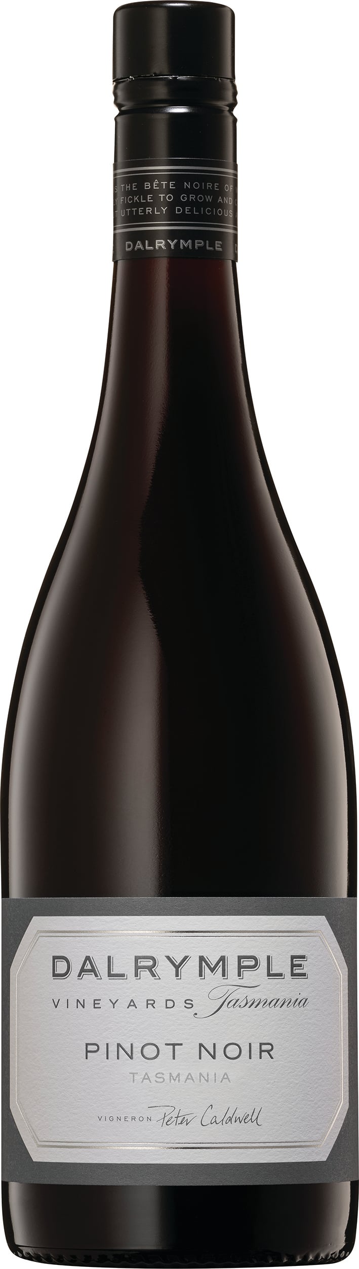 Pinot Noir 2024 | Dalrymple Vineyards ROW